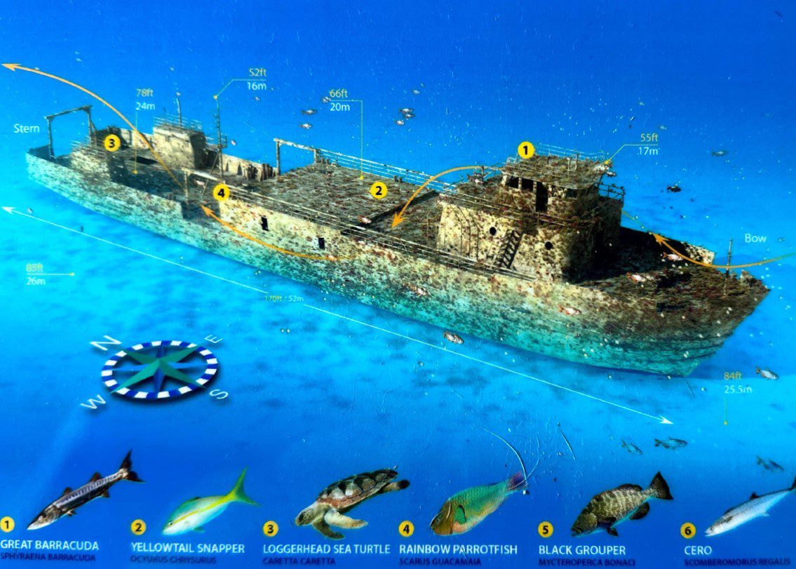 Local Dive Sites | Underwater Diving Adventures by DiveLogix Scuba ...